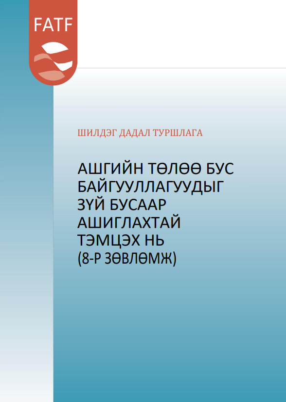 Ашгийн төлөө бус байгууллагуудыг зүй бусаар ашиглахтай тэмцэх нь
